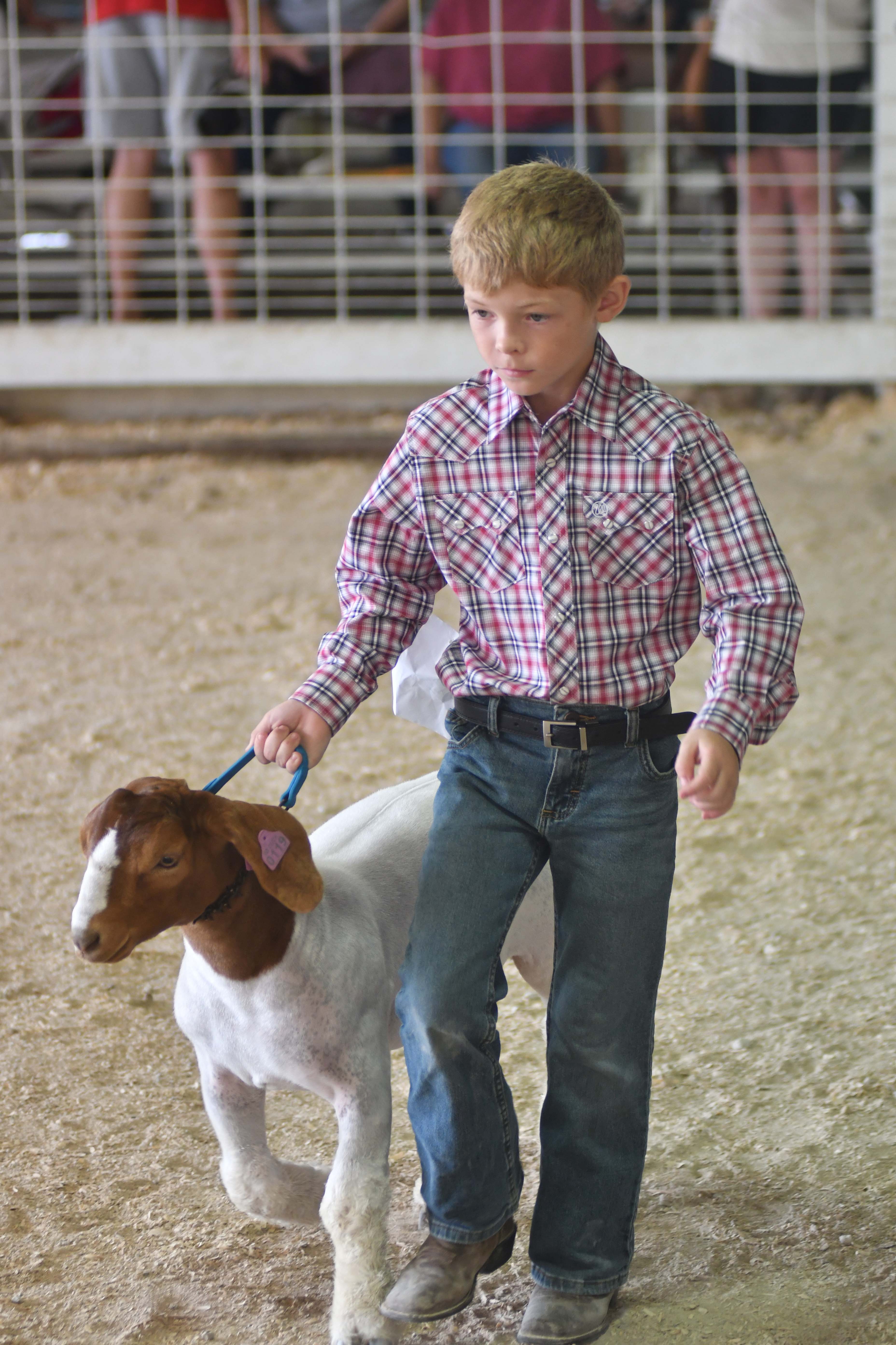 The Commercial Review